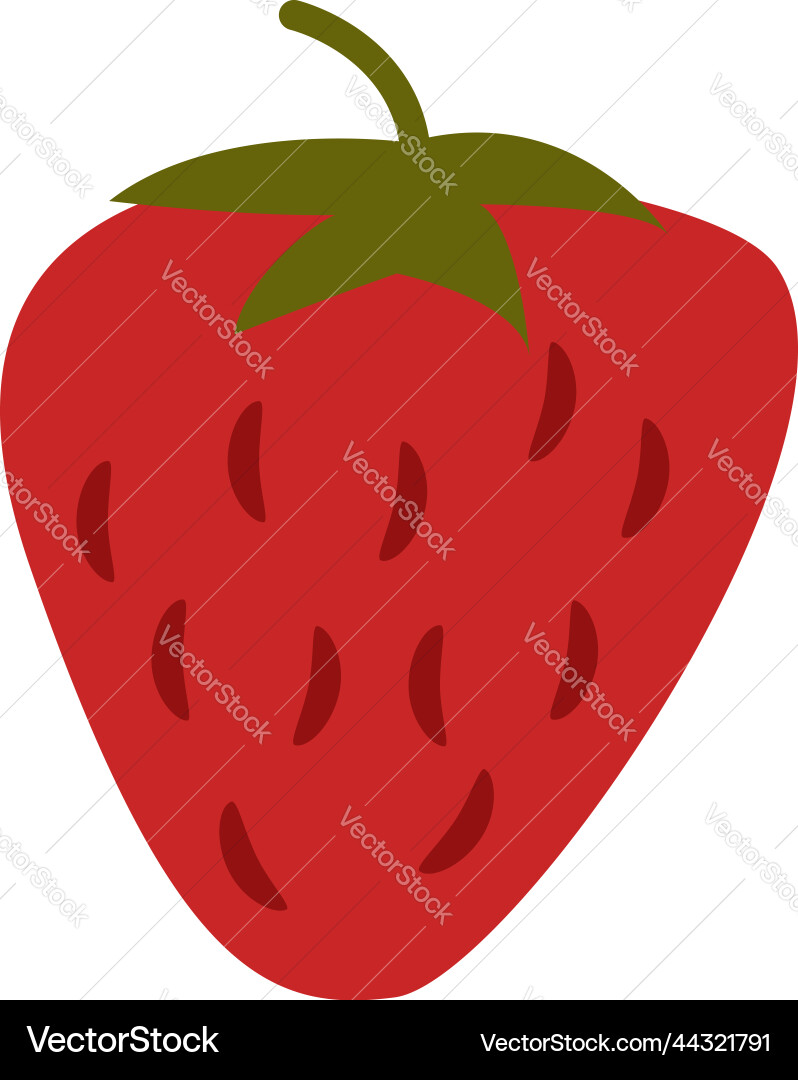 Red sweet strawberry on a white background Vector Image
