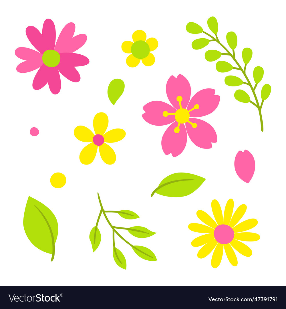 Set of spring flowers beautiful decorative Vector Image