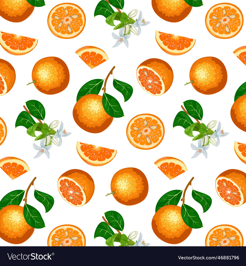 Transparent background with oranges Royalty Free Vector
