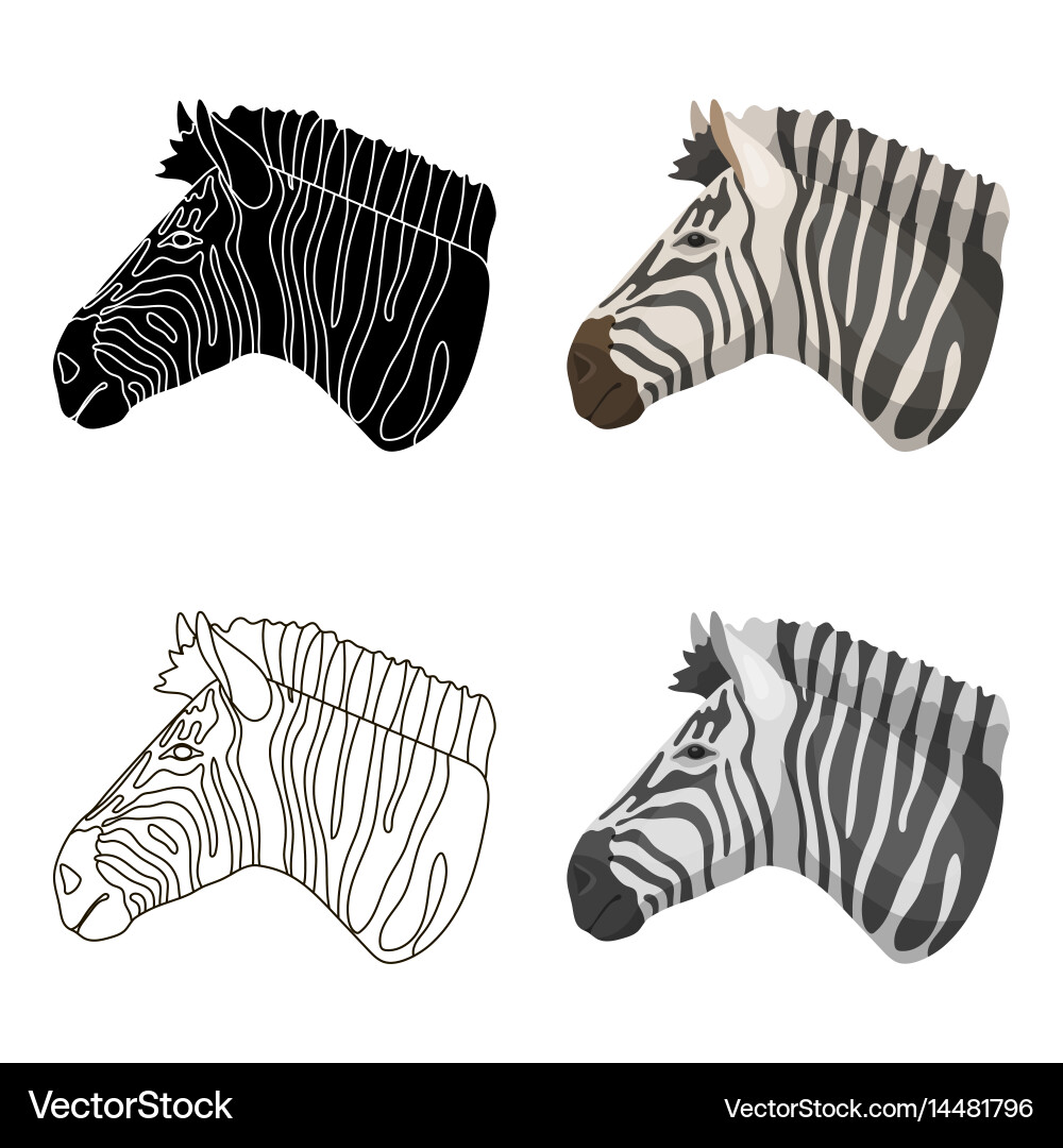 Zebra icon in cartoon style isolated on white Vector Image