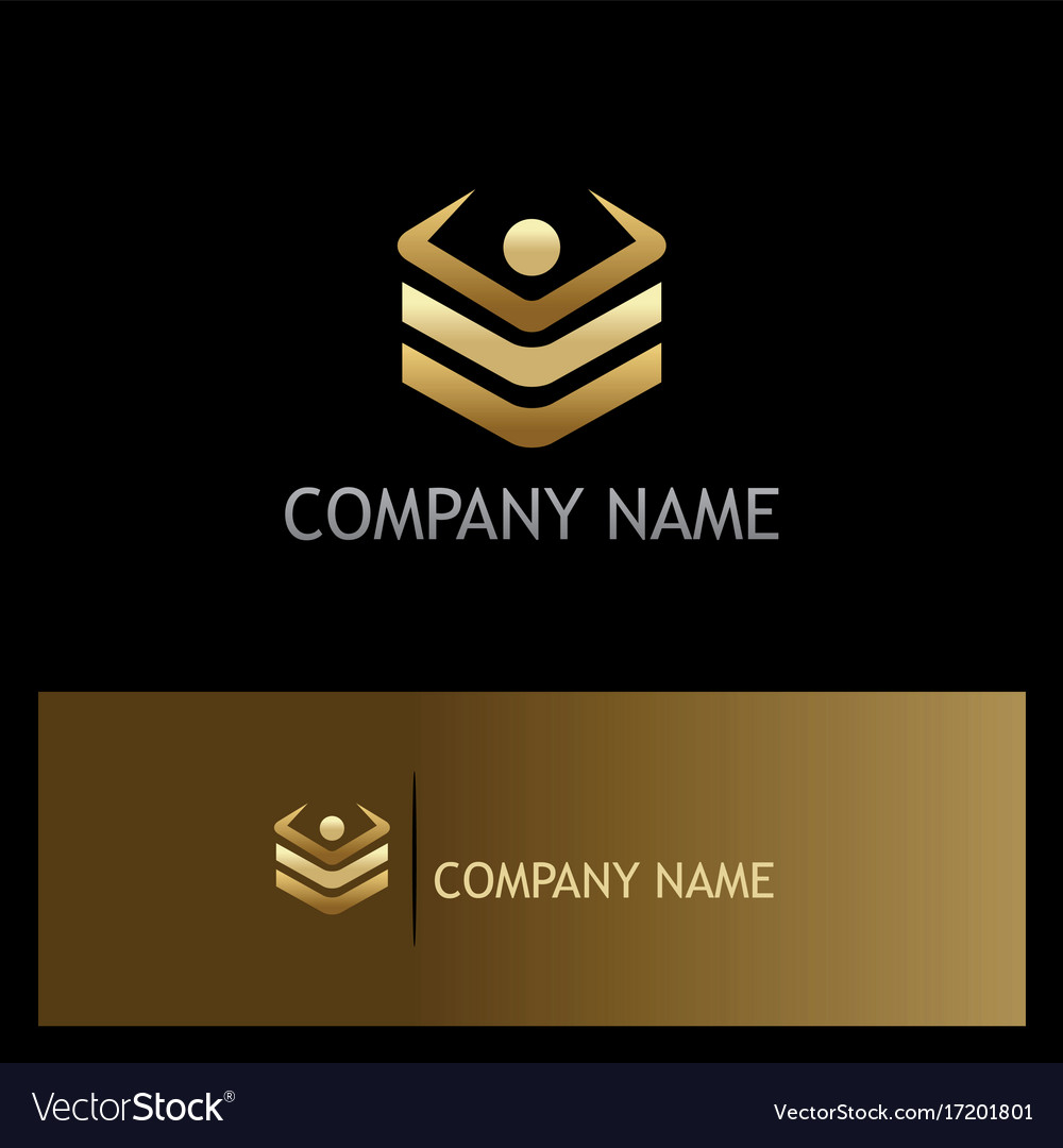 Square level data technology gold logo Royalty Free Vector