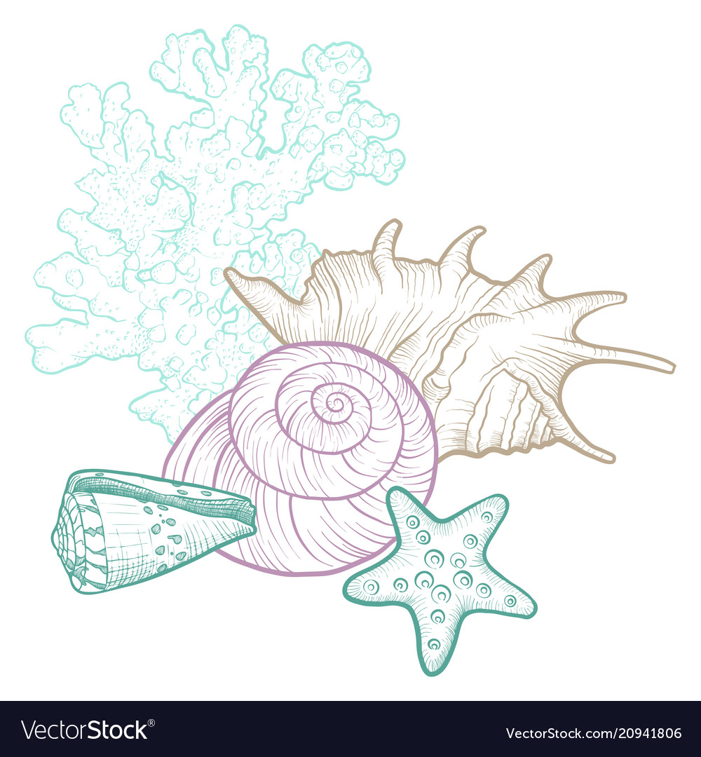 Background with seashells Royalty Free Vector Image