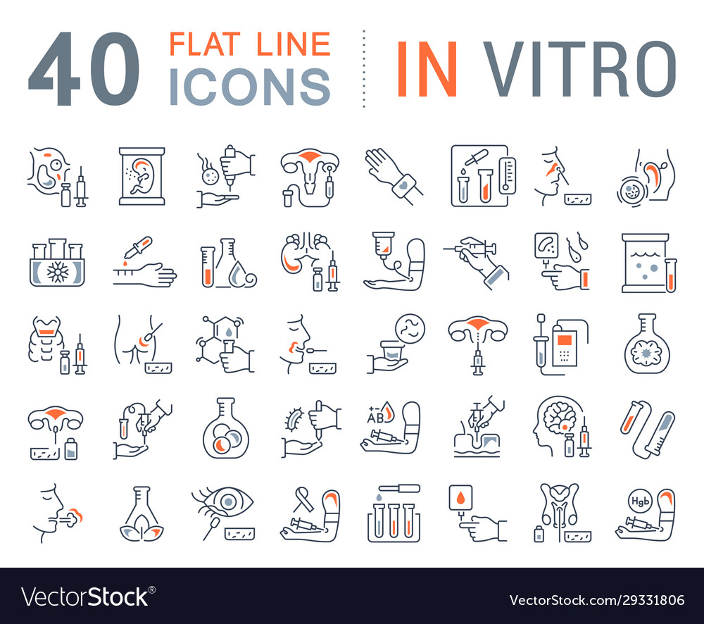 Set line icons in vitro Royalty Free Vector Image Set line icons in vitro Royalty Free Vector Image