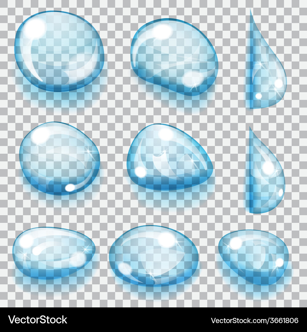 Transparent drops Royalty Free Vector Image - VectorStock