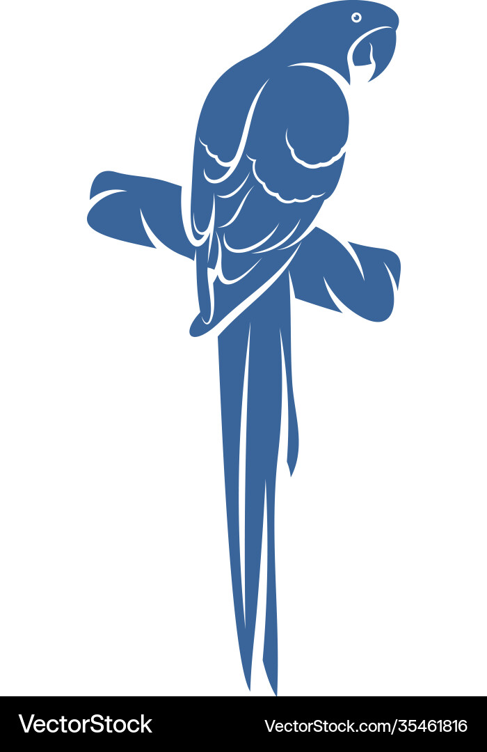 Cockatoo bird design creative parrot bird logo Vector Image