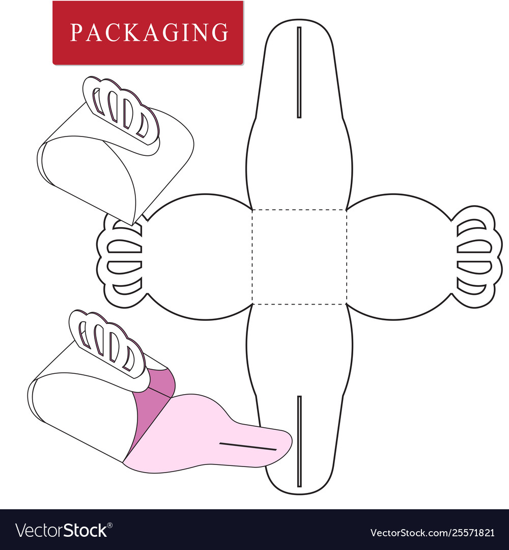 Packaging design boxpackage Royalty Free Vector Image