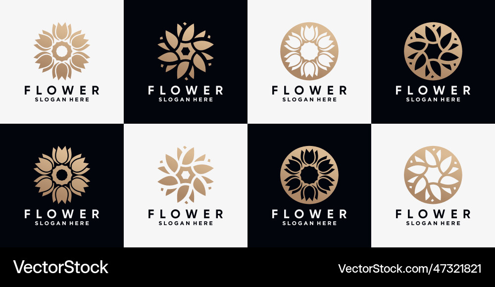 Set of abstract flower rose logo design template Vector Image