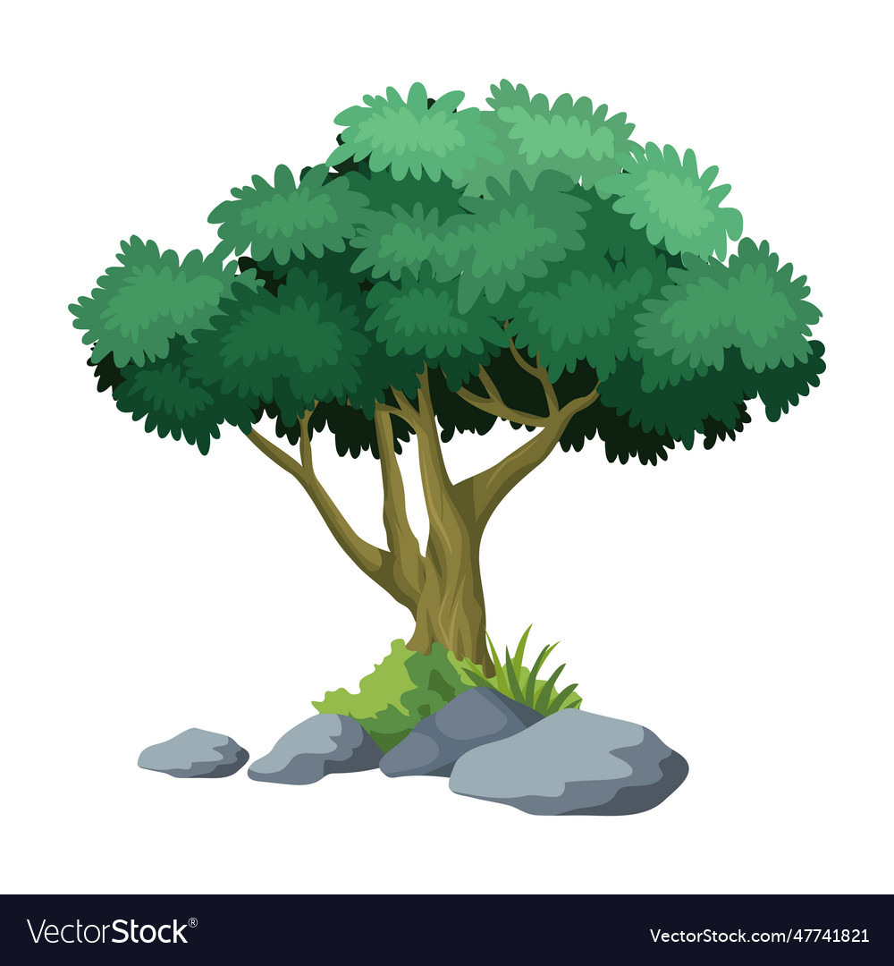 Tree with white background Royalty Free Vector Image