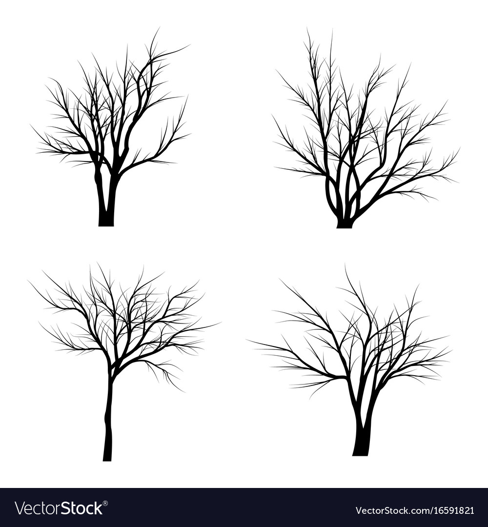 Trees with dead branches Royalty Free Vector Image