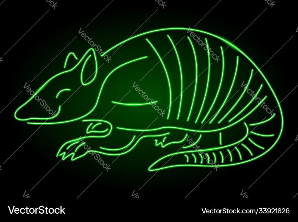 Green neon linear art with armadillo silhouette Vector Image
