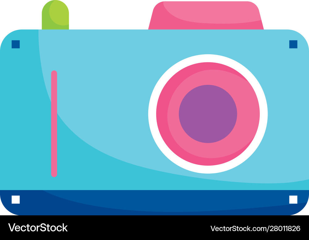 Summer photographic camera fill style Royalty Free Vector