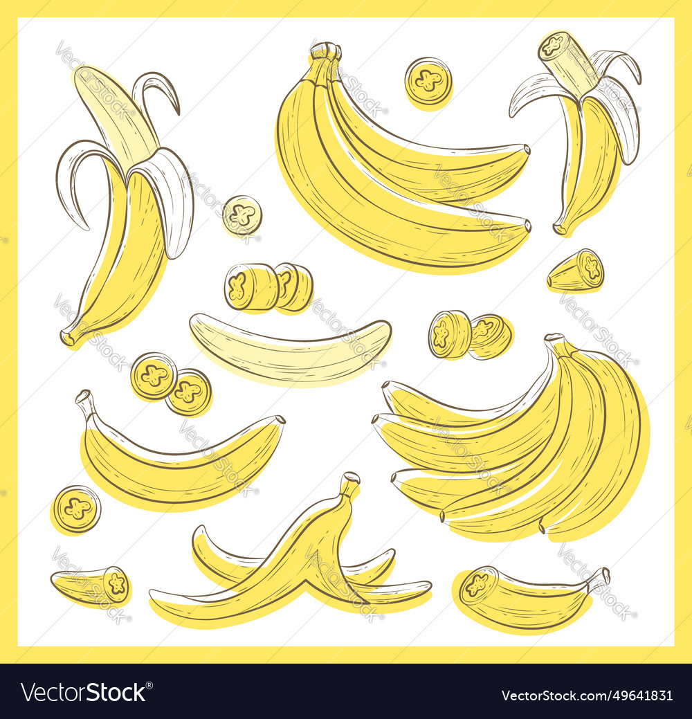 Cartoon bananas set Royalty Free Vector Image - VectorStock