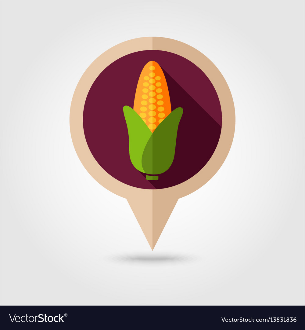 Corn flat pin map icon vegetable Royalty Free Vector Image