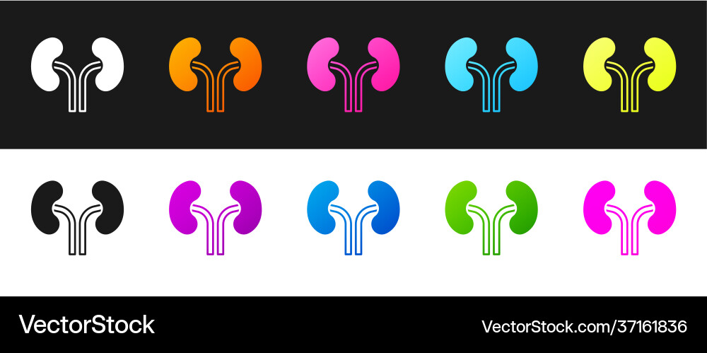 Set human kidneys icon isolated on black and white