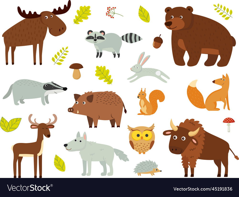 Set of woodland animals Royalty Free Vector Image