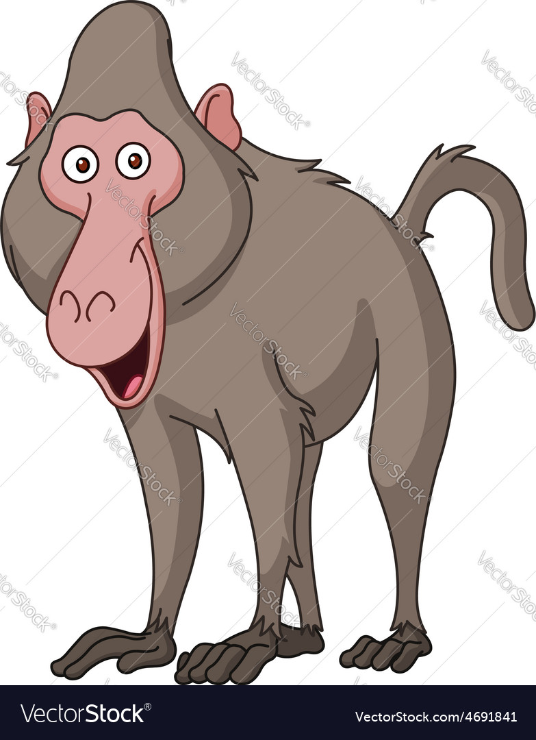 Smiling baboon Royalty Free Vector Image - VectorStock