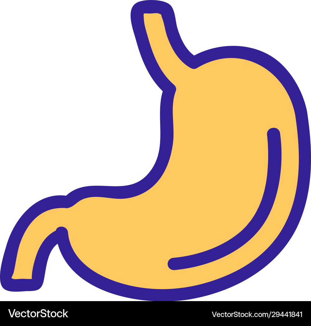 Stomach icon isolated contour symbol Royalty Free Vector