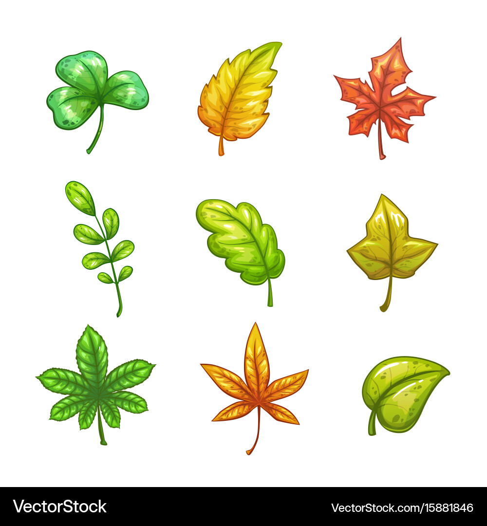 Cartoon colorful leaves set Royalty Free Vector Image