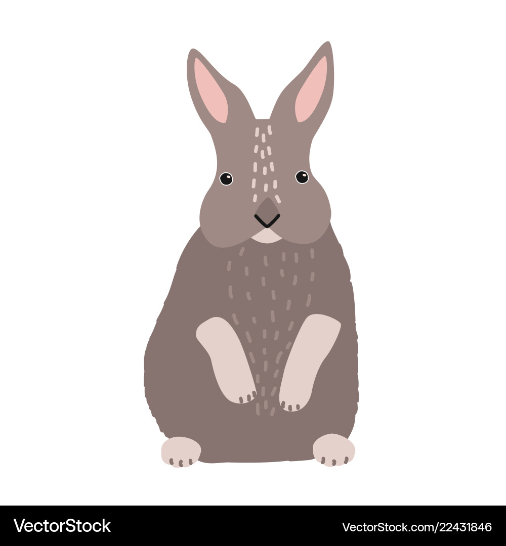 Cute bunny or rabbit isolated on white background Vector Image