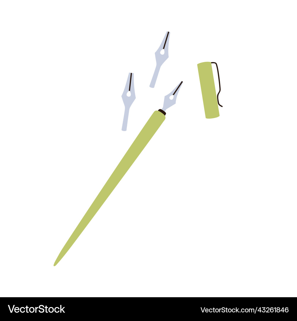 Dip pen tool for ink calligraphy and extra nibs Vector Image