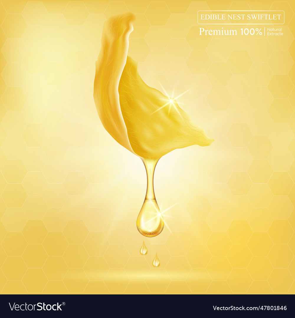Edible Nest Swiftlet Drop Of Saliva From A Birds Vector Image
