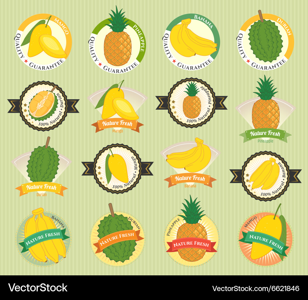 Set of various fresh fruit premium quality tag Vector Image