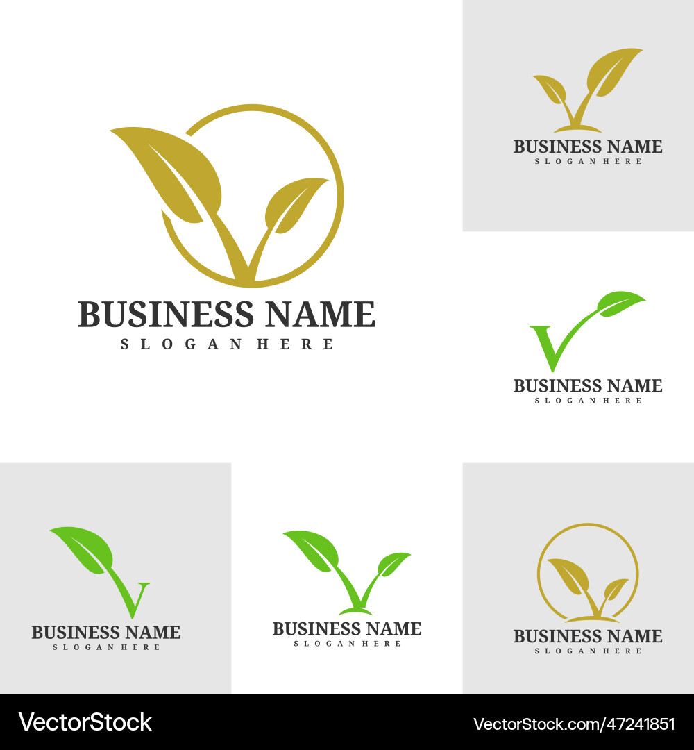 Set of letter v with leaf template creative v Vector Image