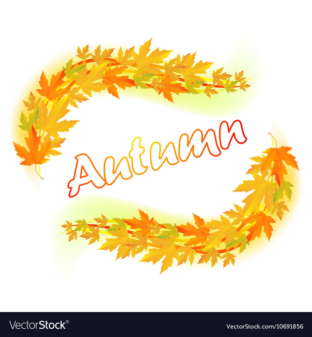 Autumn fall leaf Royalty Free Vector Image - VectorStock