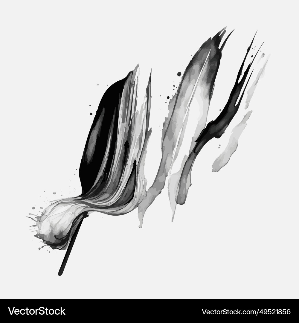 Beautiful black watercolor splash brushes Vector Image