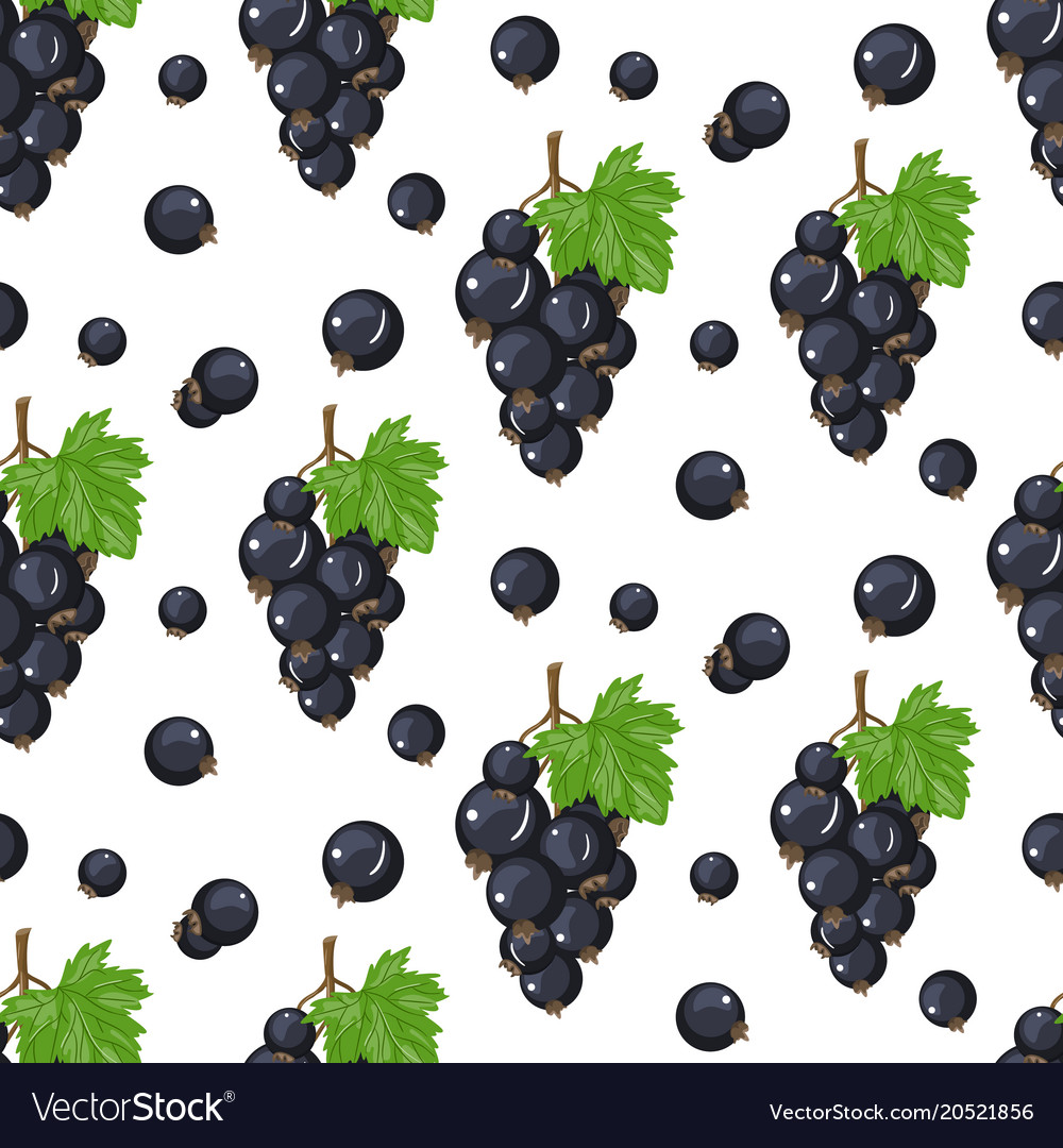 Black currant seamless pattern background Vector Image