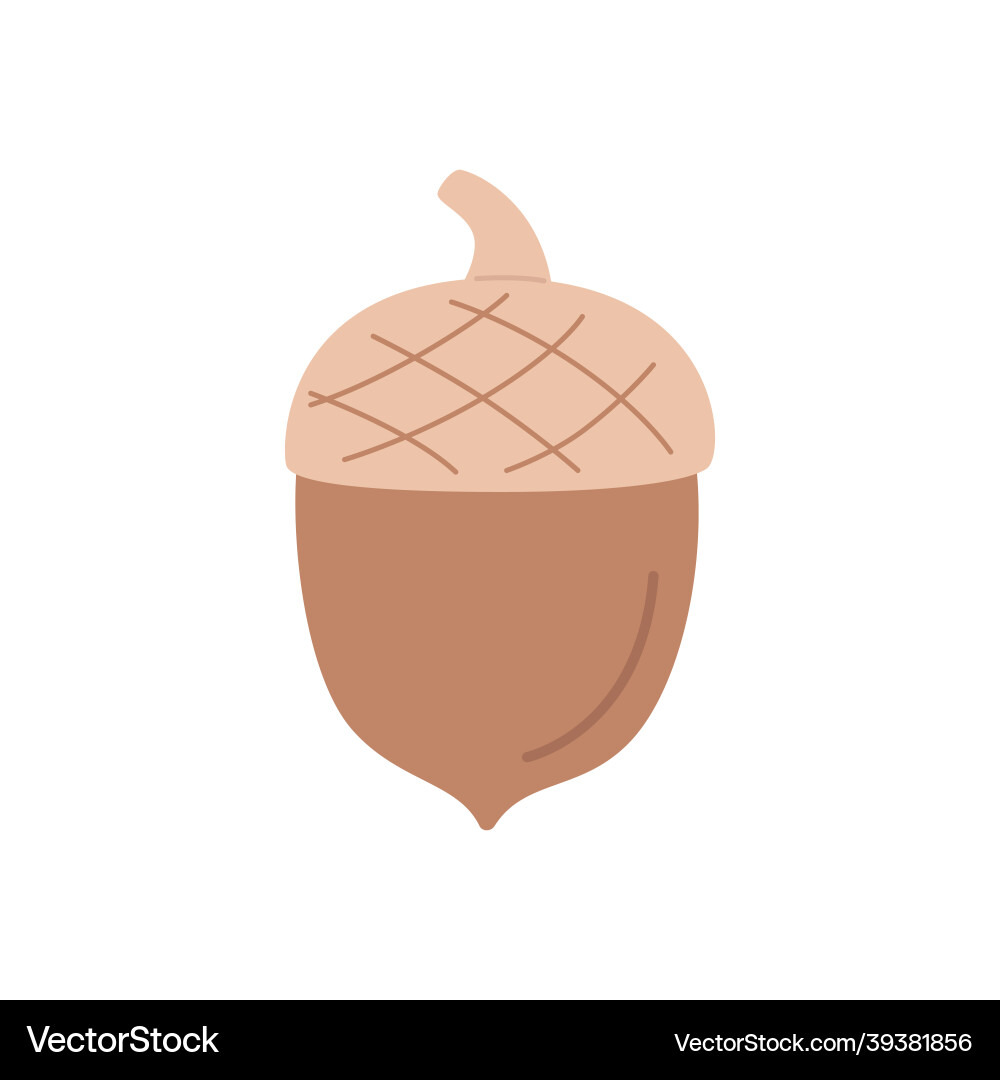 Cute acorn isolated on a white background hand Vector Image