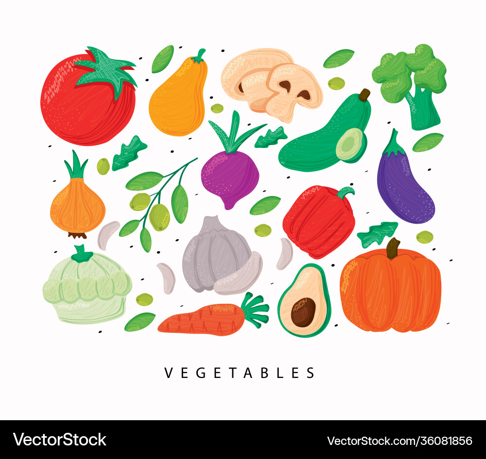 Pattern vegetables healthy food in white Vector Image