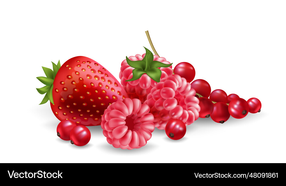 A vibrant heap of red berries raspberry Royalty Free Vector