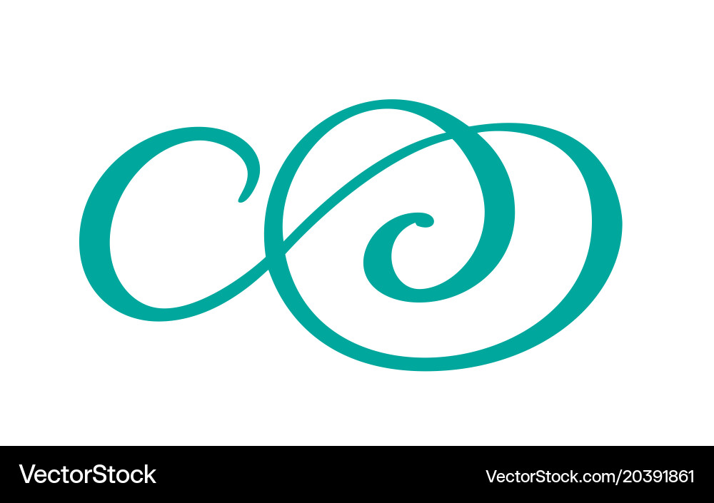 Vintage hand drawn flourish separator calligraphy Vector Image