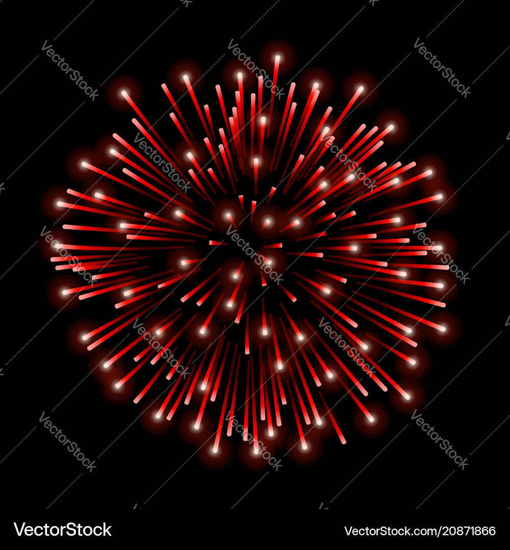 Beautiful red firework bright salute isolated on Vector Image