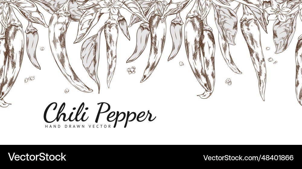 Seamless border with hand drawn chili peppers Vector Image
