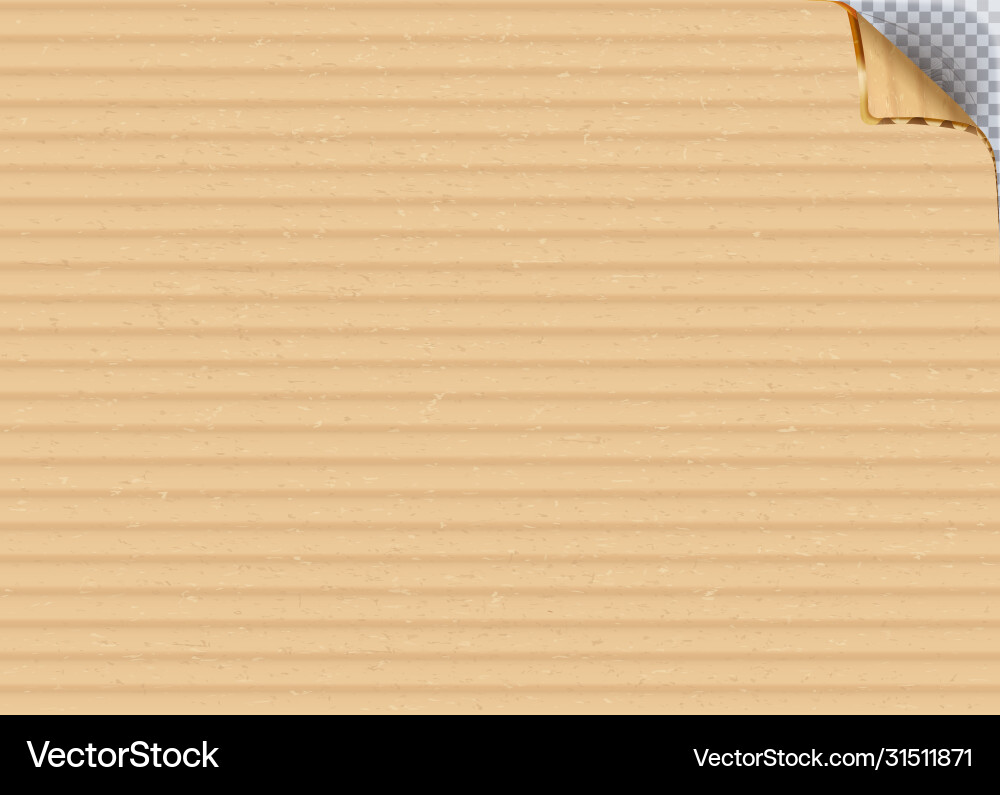 Cardboard paper with curled edge realistic Vector Image