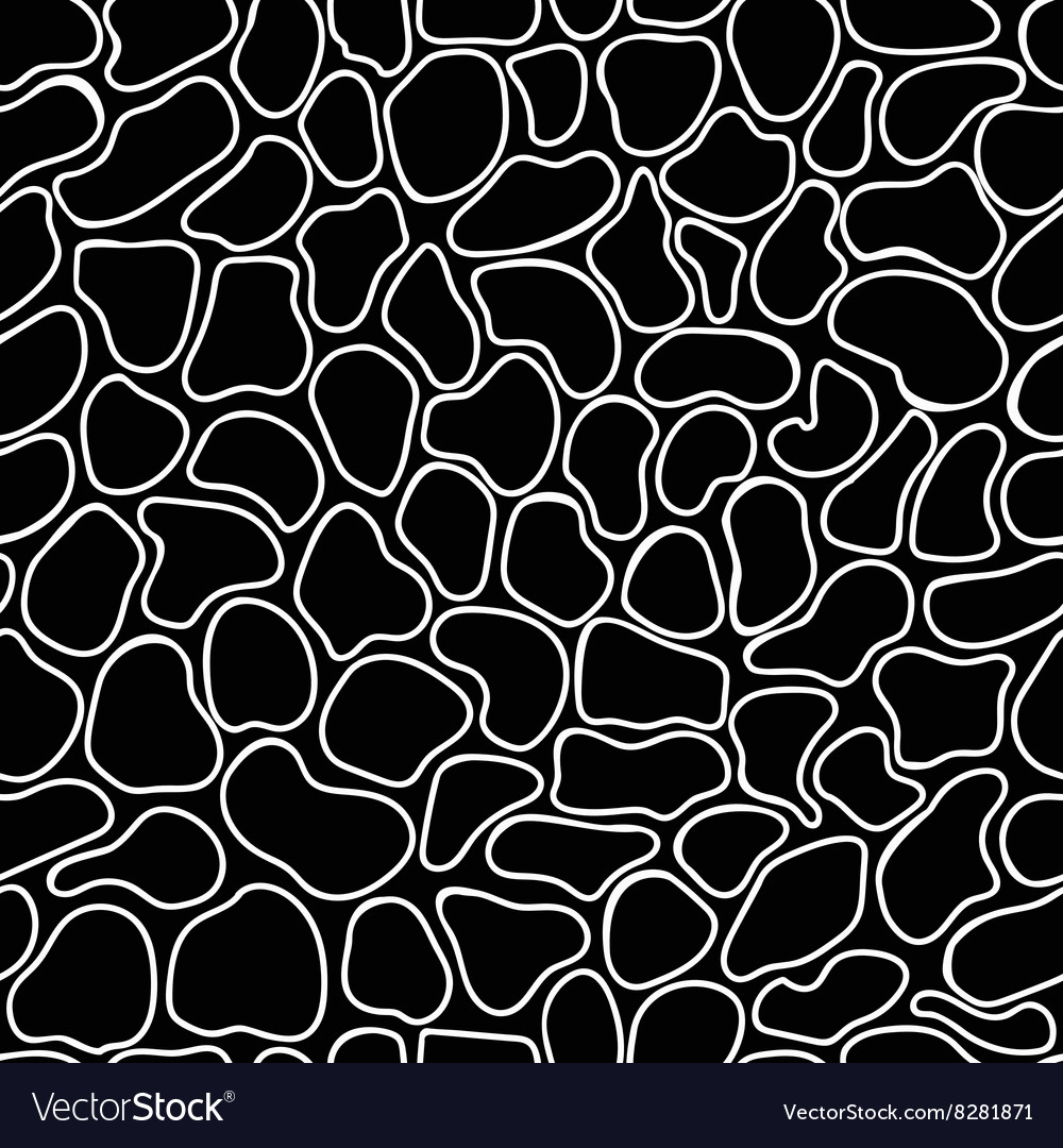 Seamless white black pattern Royalty Free Vector Image