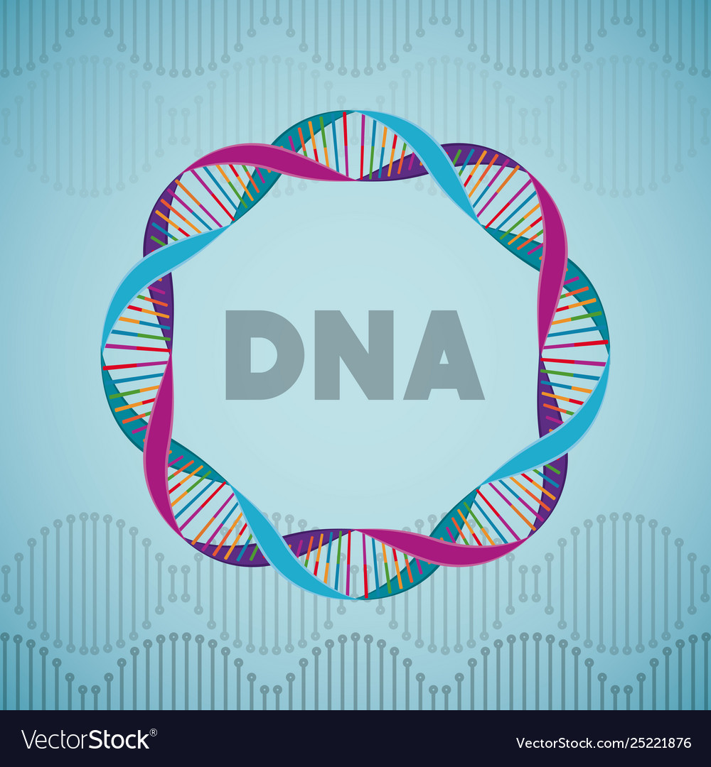 Dna molecule circular structure Royalty Free Vector Image