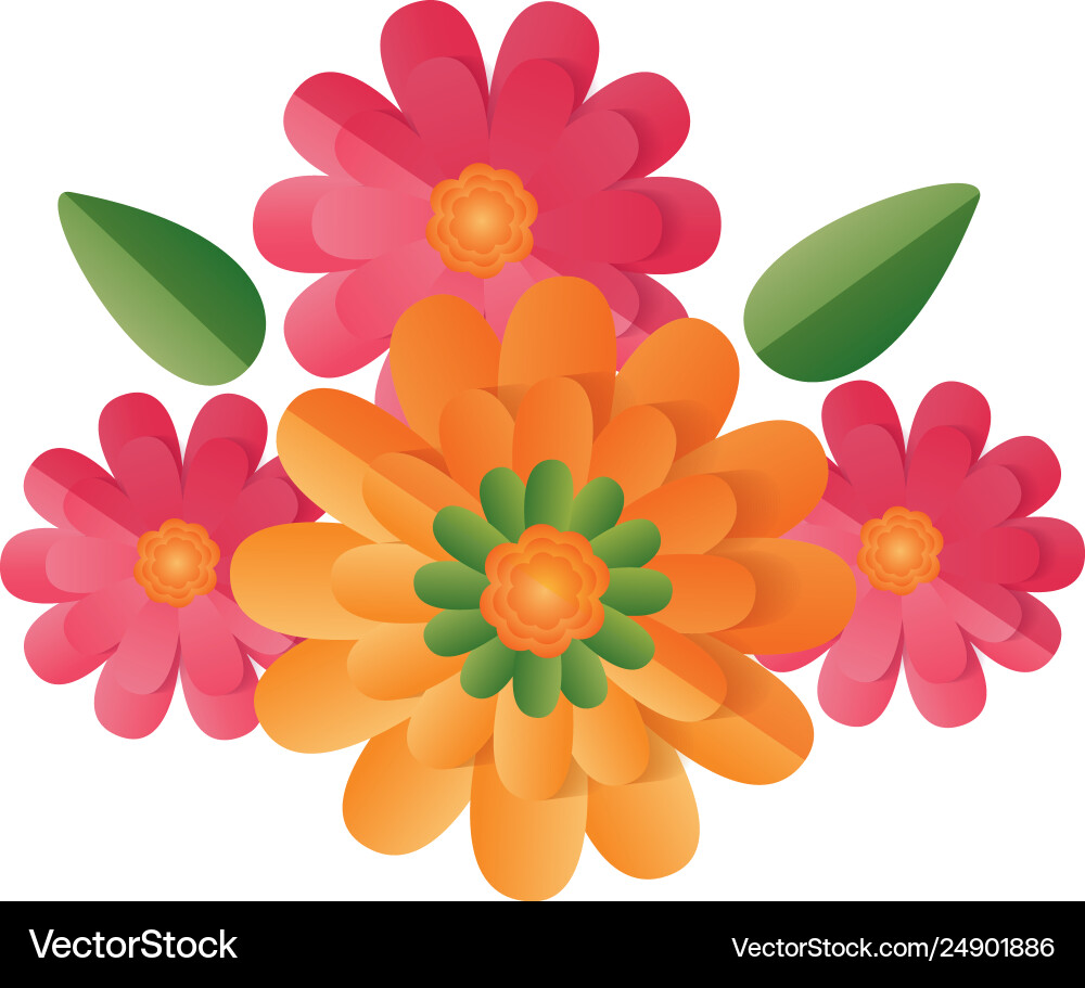 Arrangement floral flowers Royalty Free Vector Image