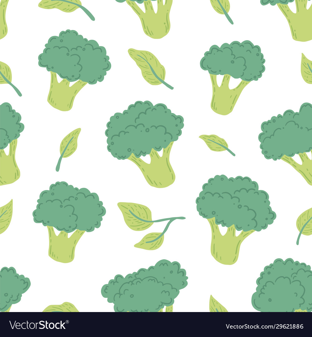 Broccoli seamless pattern Royalty Free Vector Image