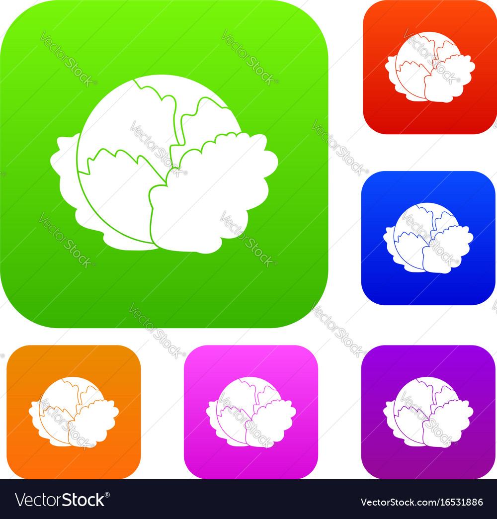 Cabbage set collection Royalty Free Vector Image