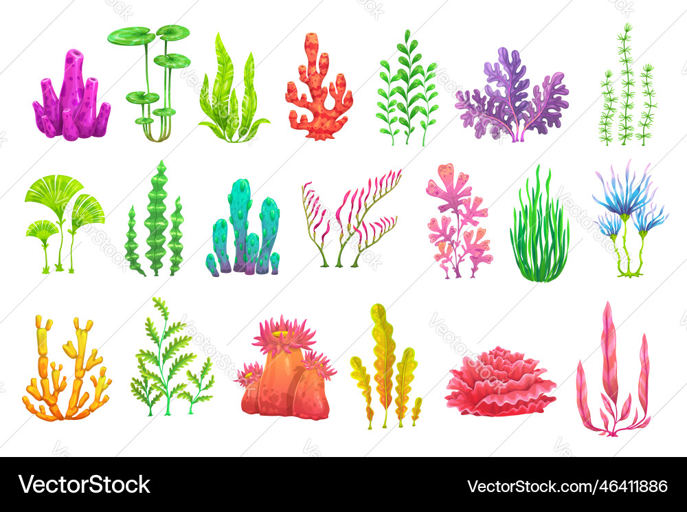 Underwater Plant Cartoon
