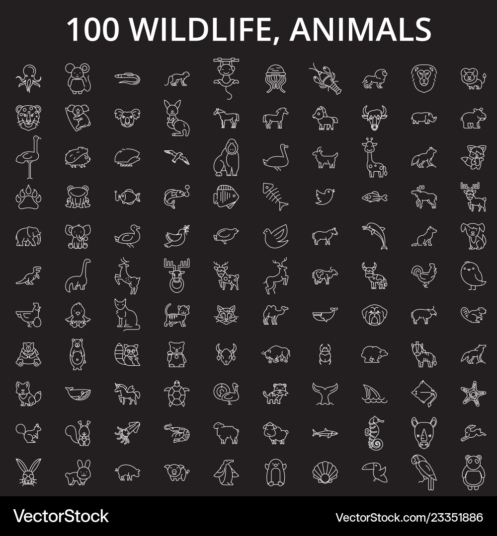 Wildlife animals editable line icons set Vector Image