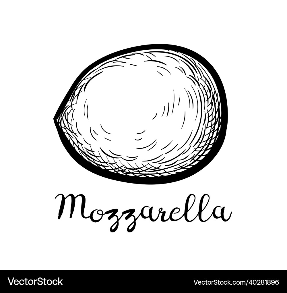 Ink sketch of mozzarella cheese Royalty Free Vector Image