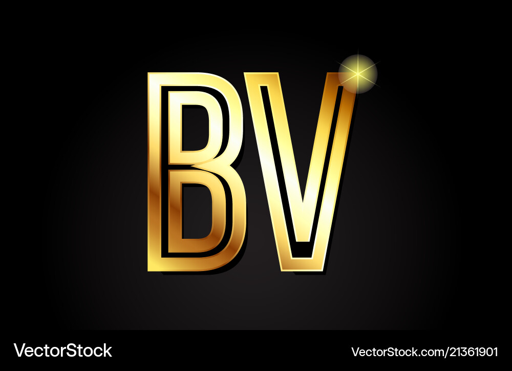 Gold alphabet letter bv b v logo combination icon Vector Image