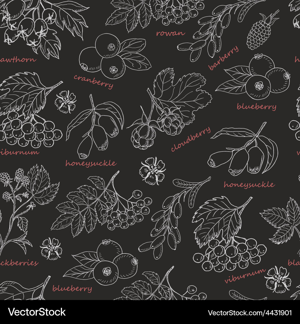 Seamless pattern with forest berries on dark Vector Image