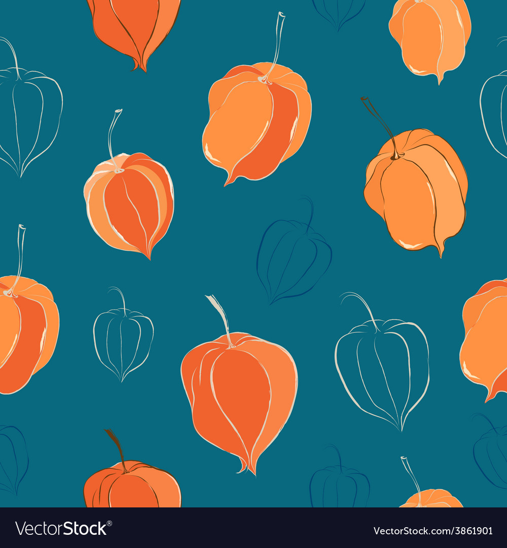 Seamless pattern with physalis Royalty Free Vector Image