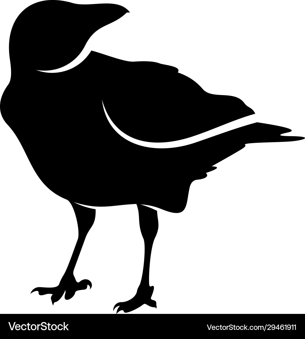 Raven bird logo template black silhouette Vector Image
