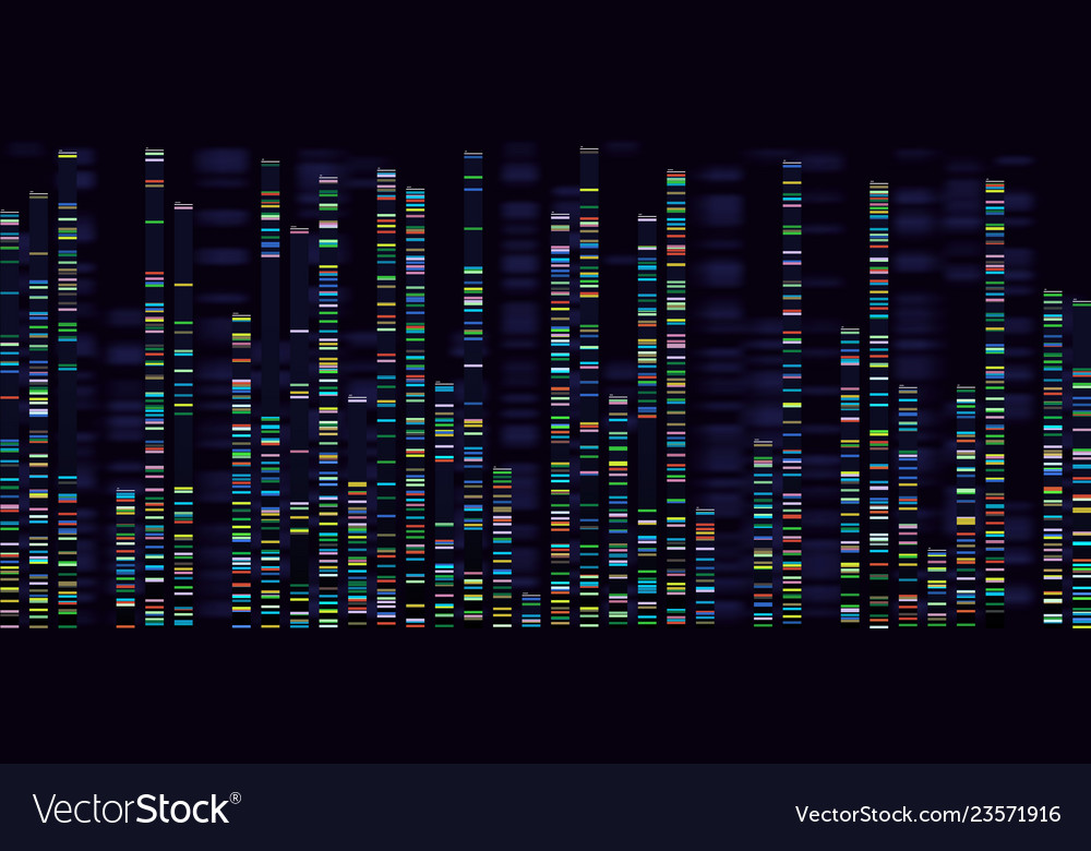 Genomic analysis visualization dna genomes Vector Image Genomic analysis visualization dna genomes Vector Image